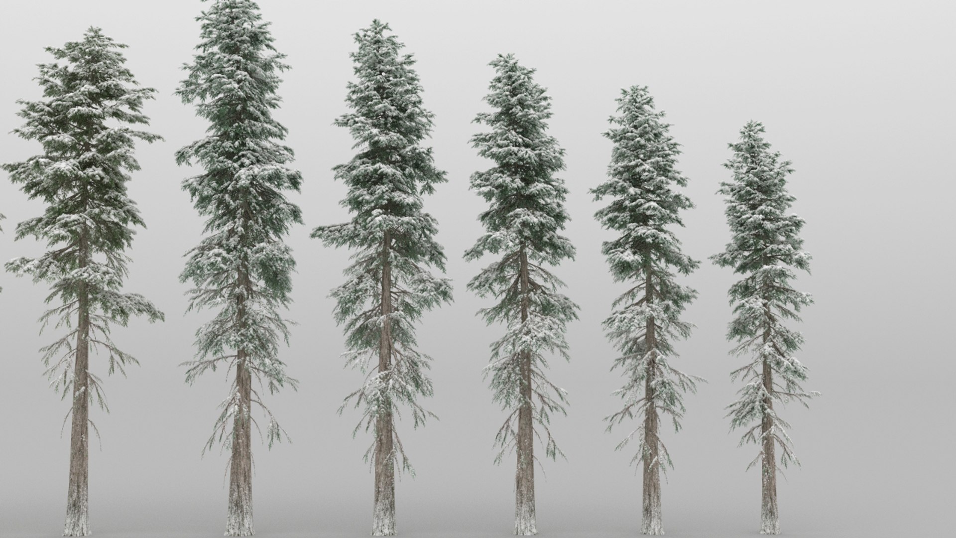 Cedar Trees 3D Model - TurboSquid 1676012