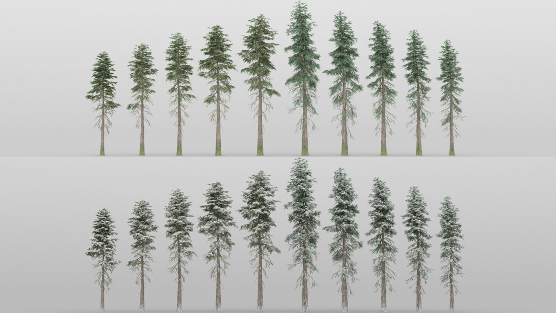 Cedar Trees 3D Model - TurboSquid 1676012