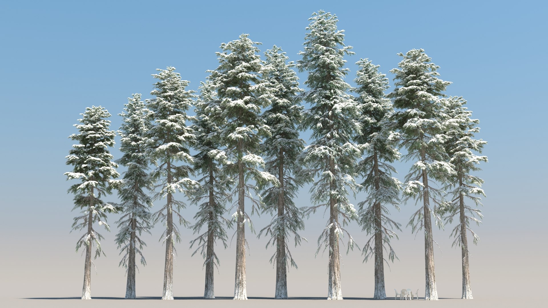 Cedar Trees 3D Model - TurboSquid 1676012