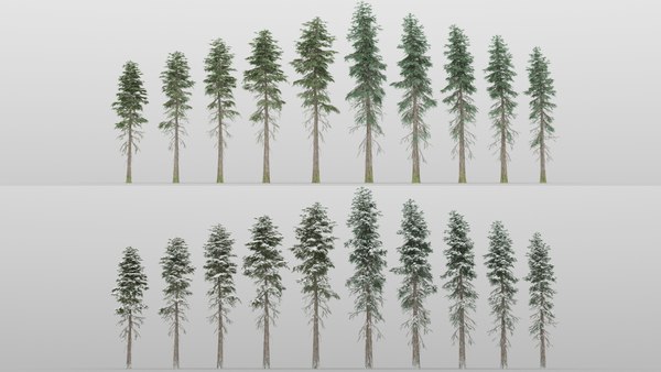 Cedar trees 3D model - TurboSquid 1676012
