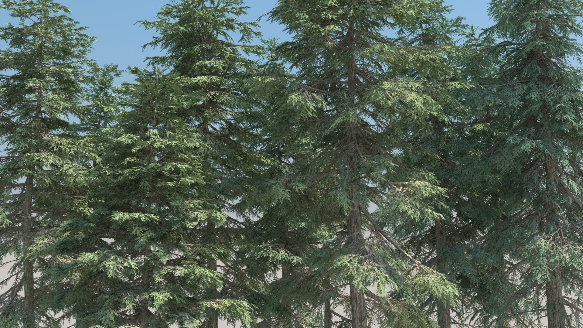 Cedar Trees 3D Model - TurboSquid 1676012