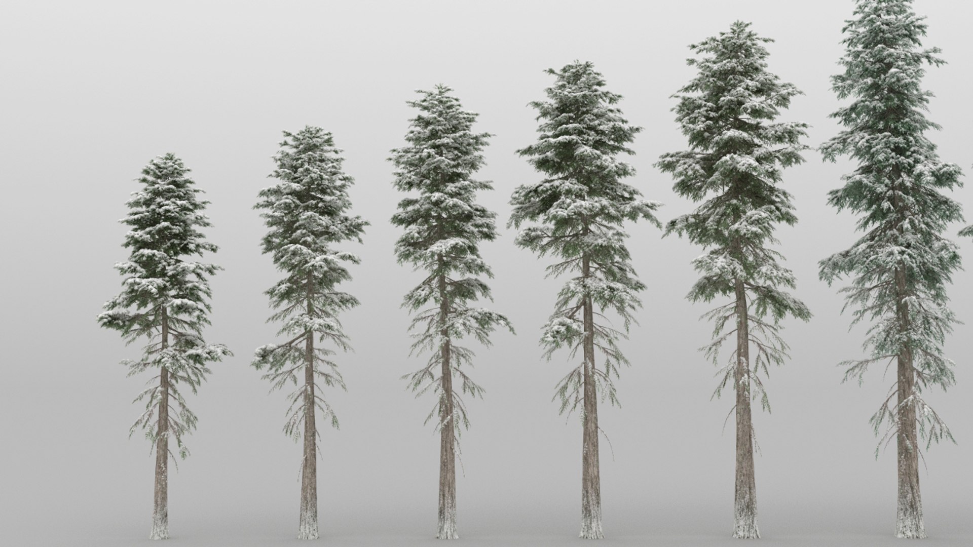 Cedar Trees 3D Model - TurboSquid 1676012