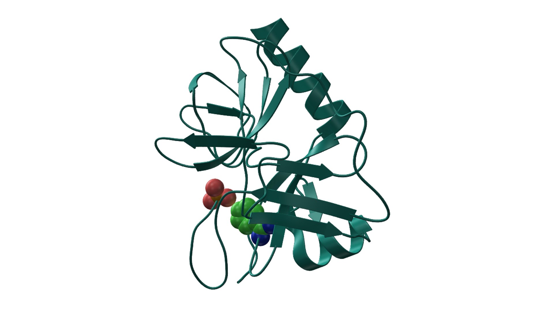 Obj Trypsin Digestive Proteins