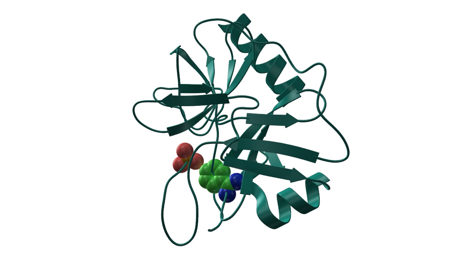 Obj Trypsin Digestive Proteins