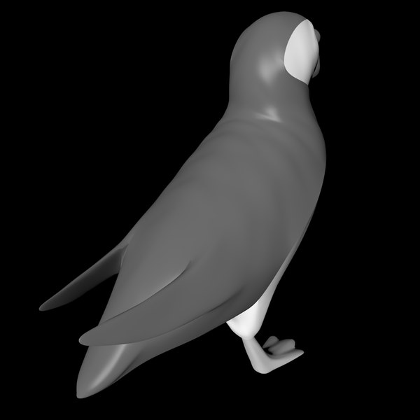 Atlantic puffin 3D model - TurboSquid 1621804