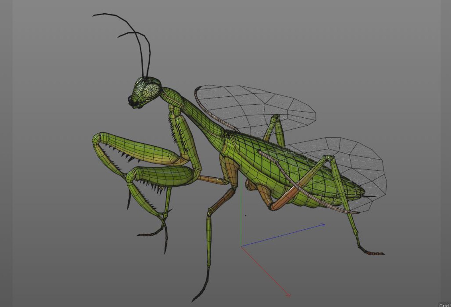 3D Ant Mantis - TurboSquid 1537274