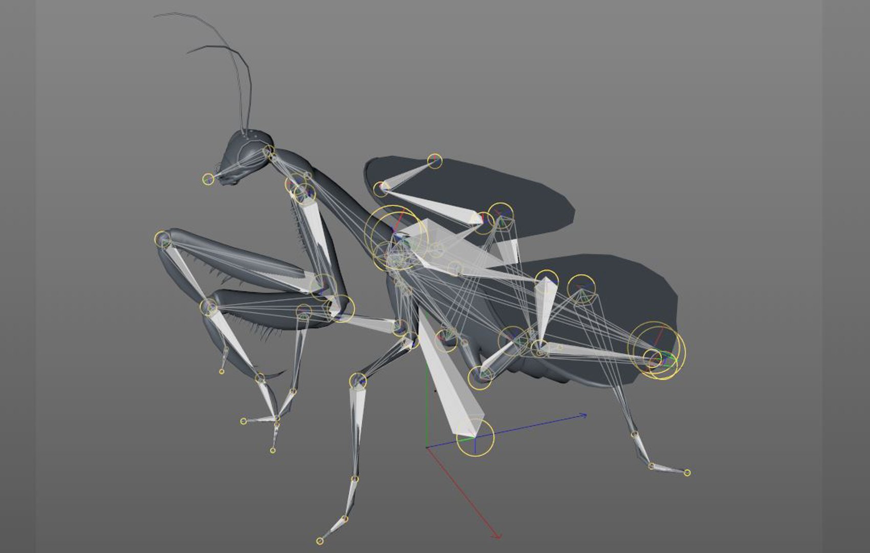 3D Ant Mantis - TurboSquid 1537274