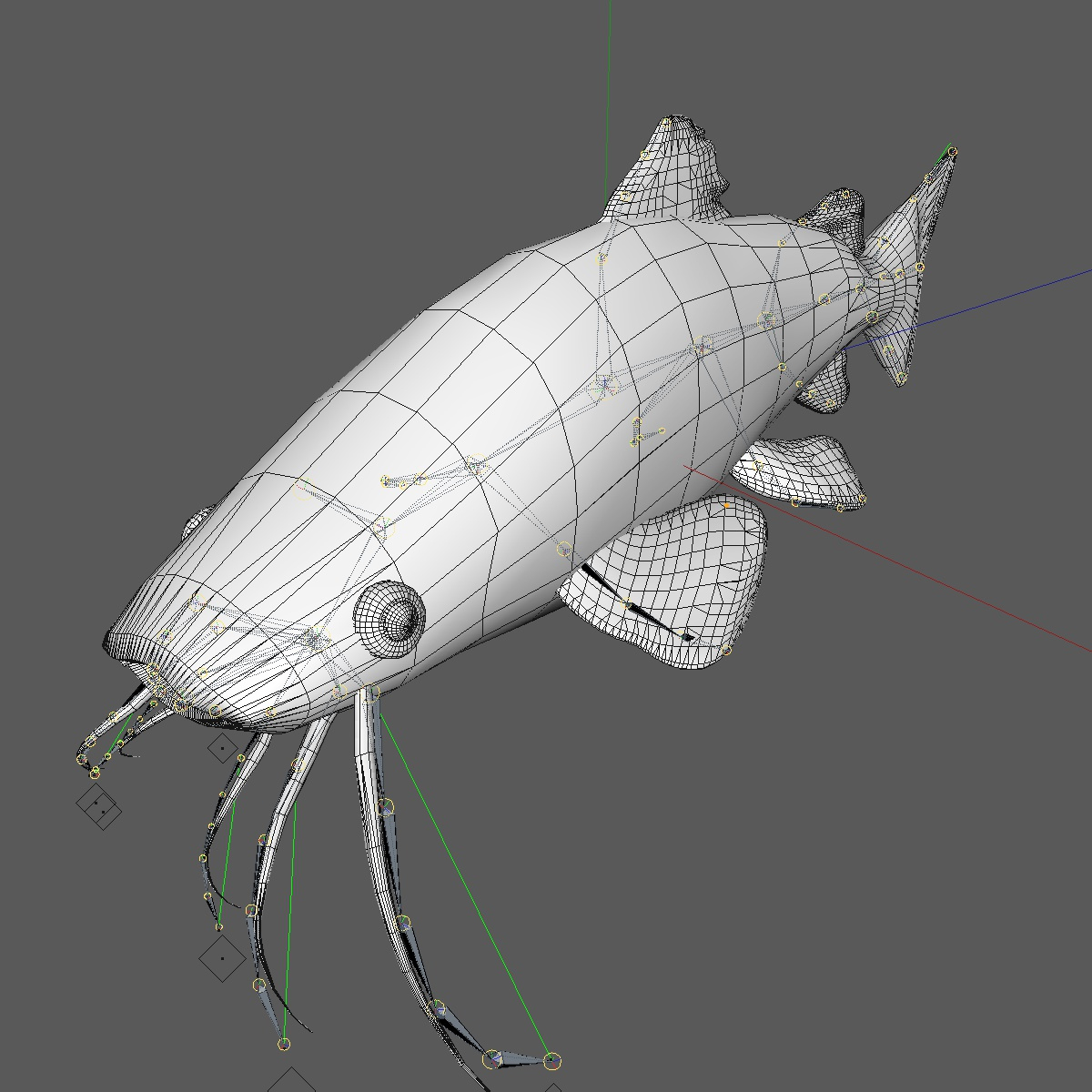 swimming red tail catfish c4d