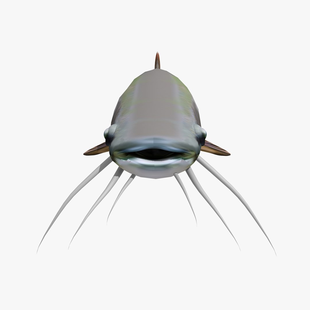 Swimming Red Tail Catfish C4d
