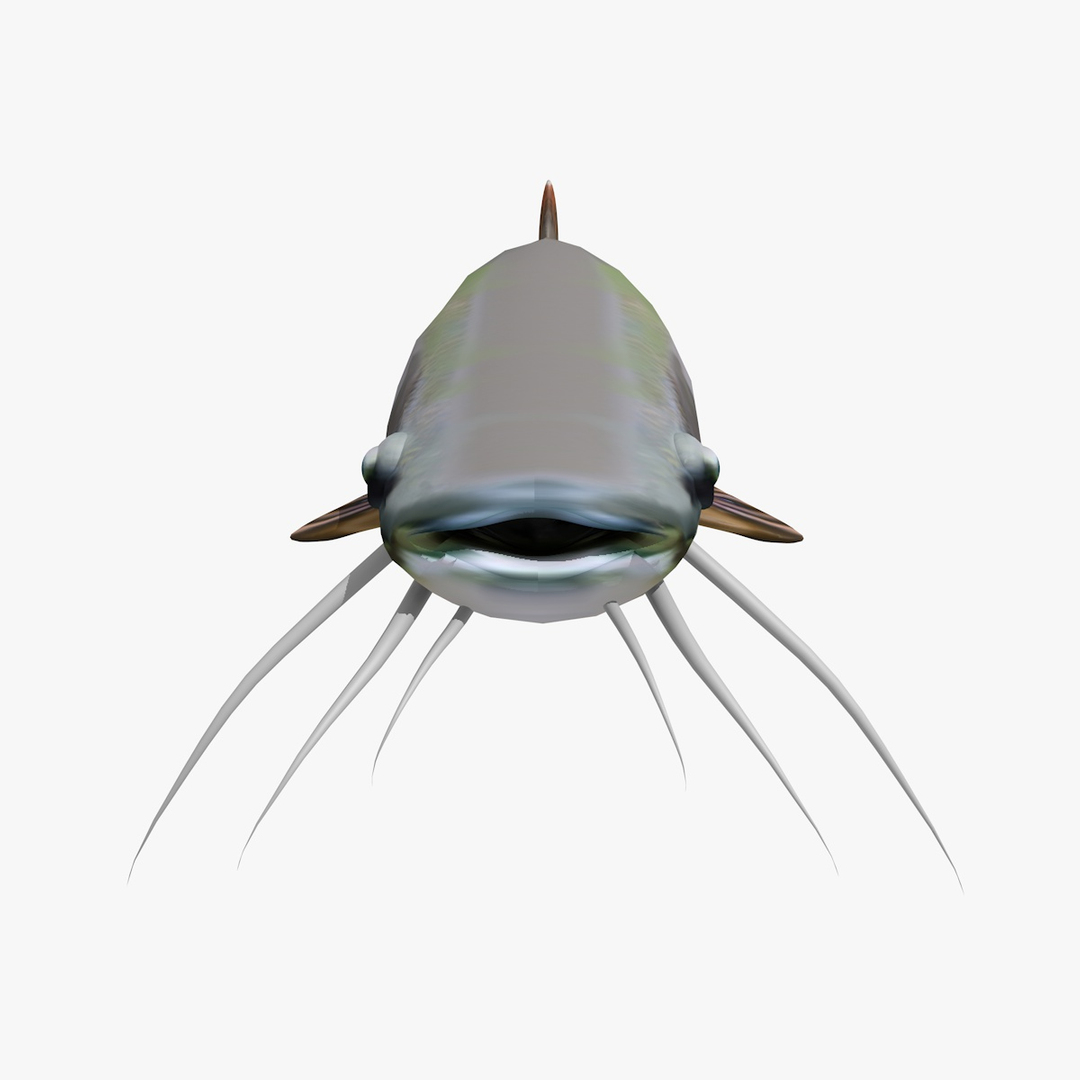 swimming red tail catfish c4d