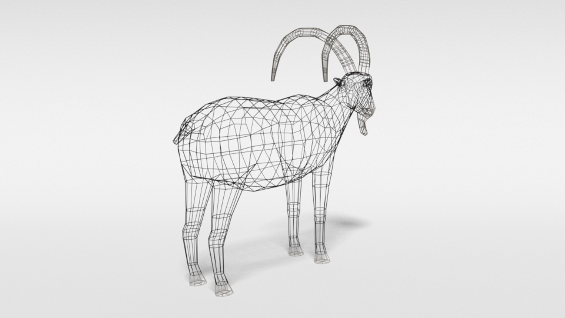 Cretan wild goat 3D model - TurboSquid 1532669