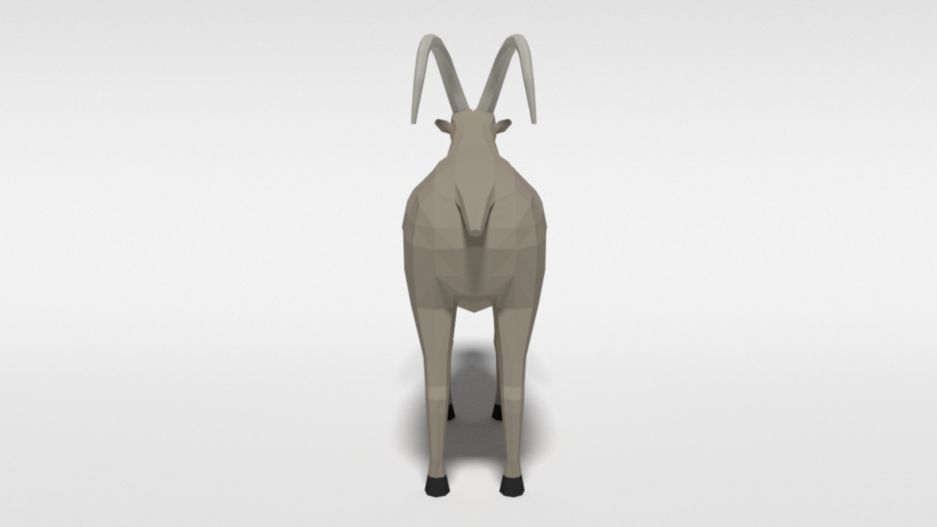Cretan wild goat 3D model - TurboSquid 1532669