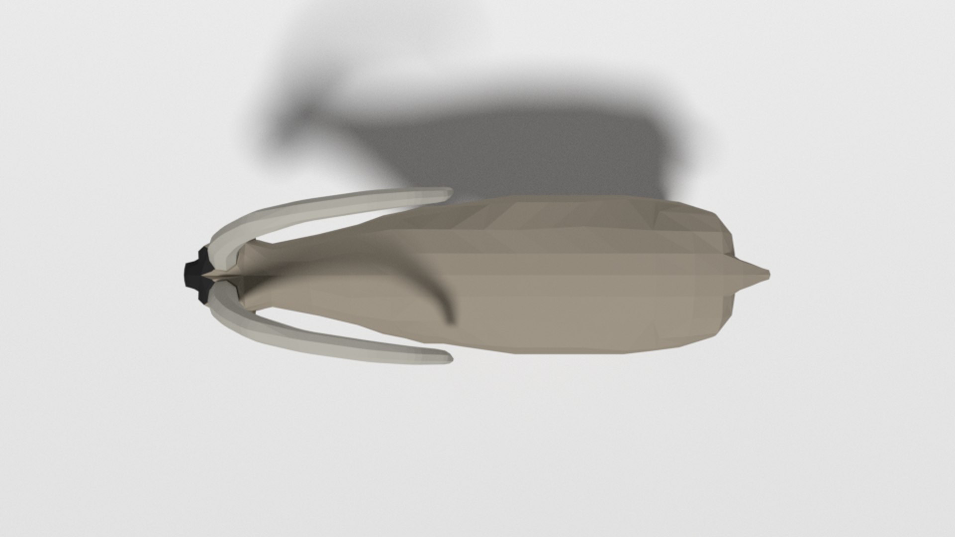 Cretan wild goat 3D model - TurboSquid 1532669