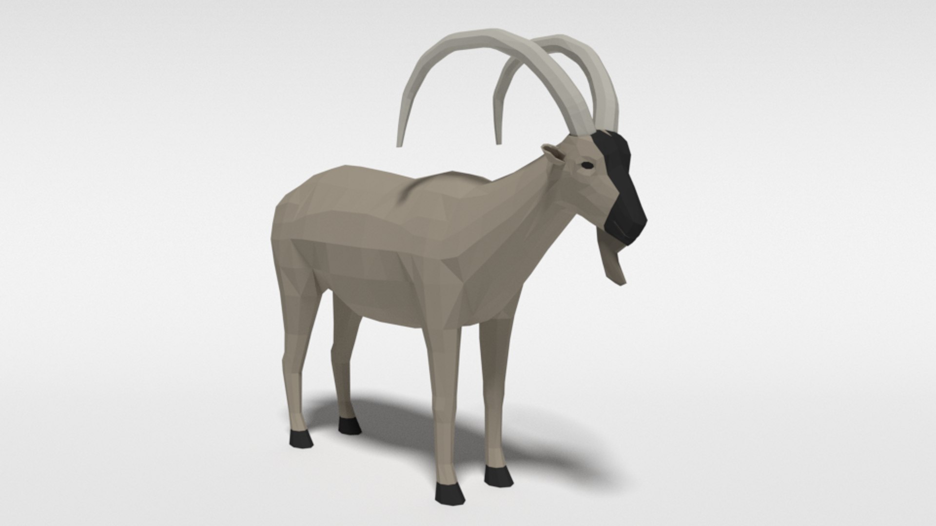 Cretan wild goat 3D model - TurboSquid 1532669