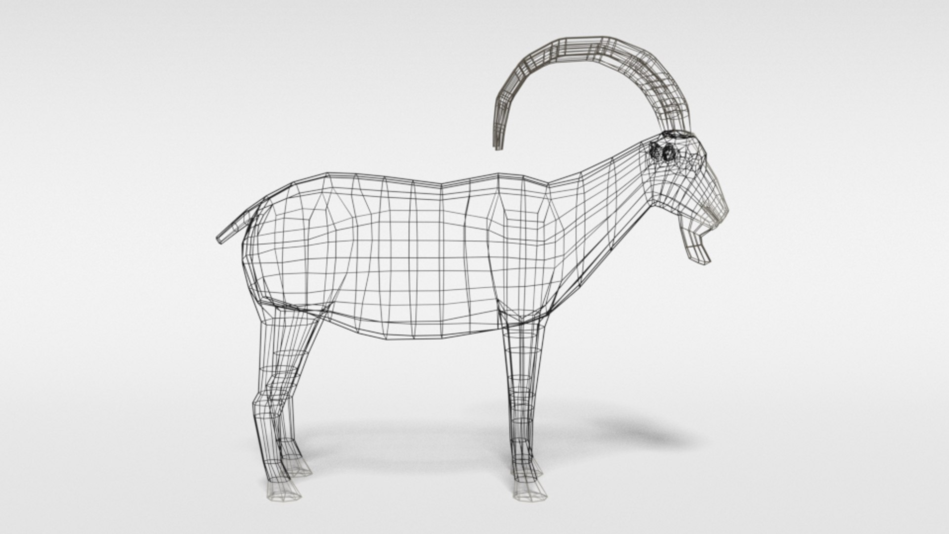 Cretan wild goat 3D model - TurboSquid 1532669