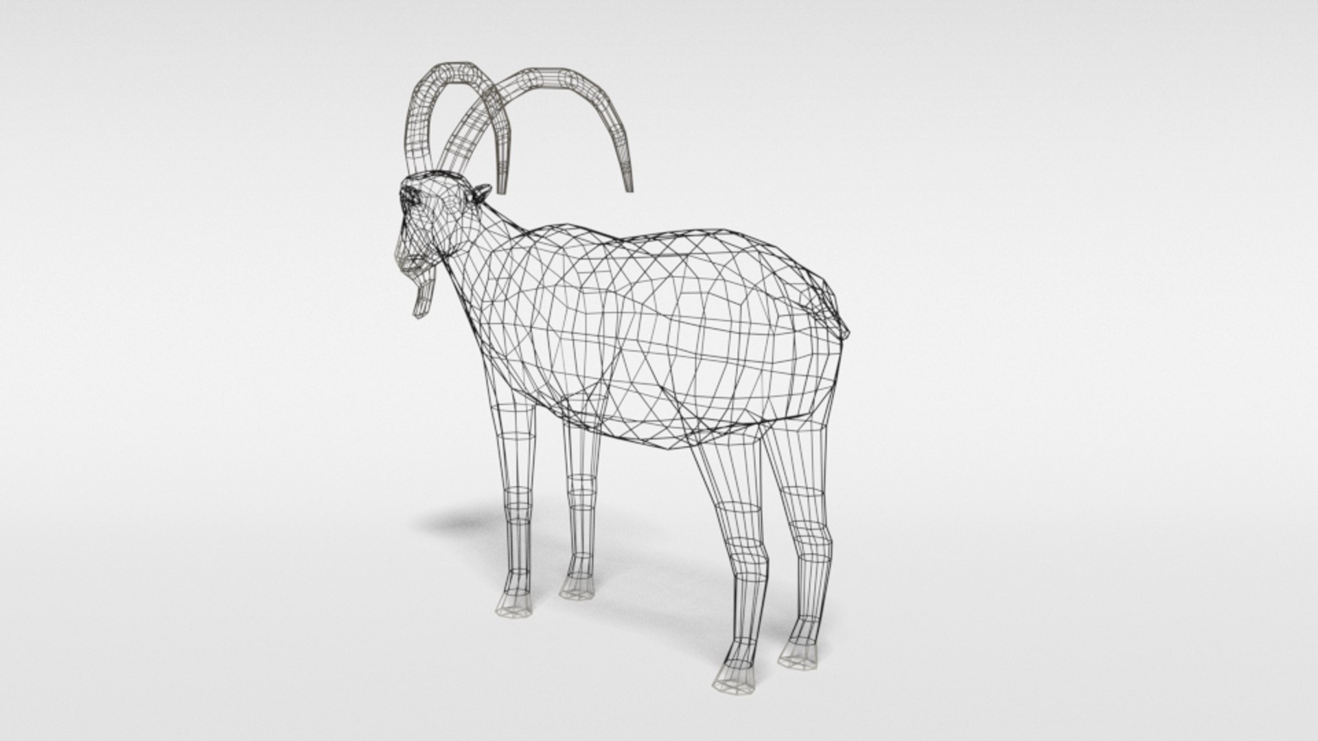 Cretan wild goat 3D model - TurboSquid 1532669