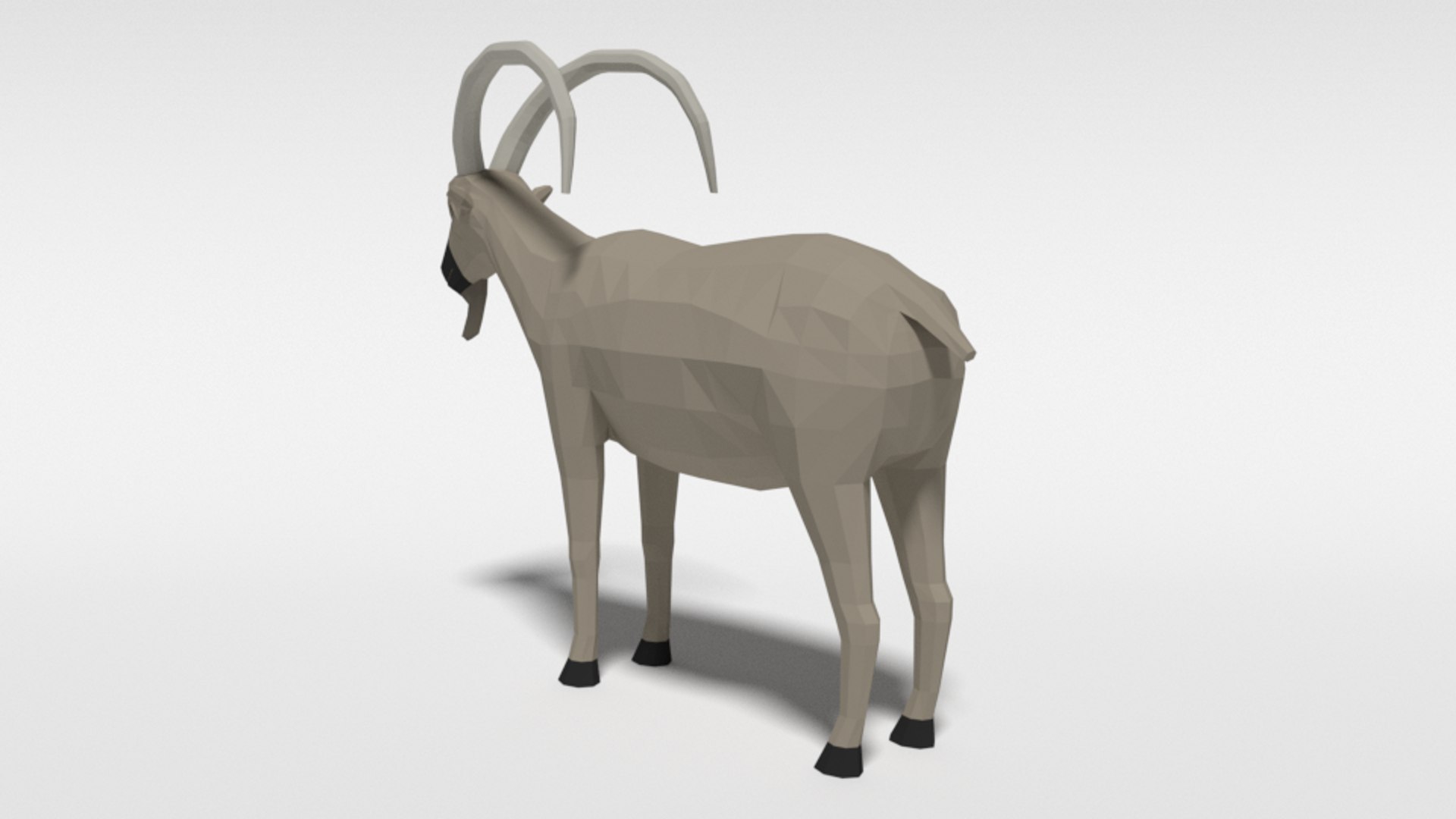 Cretan wild goat 3D model - TurboSquid 1532669