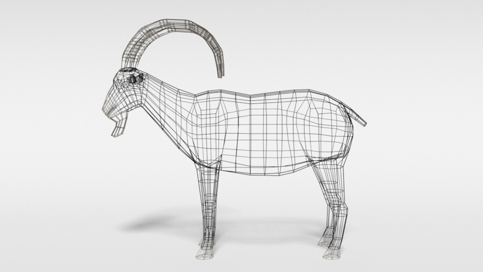 Cretan wild goat 3D model - TurboSquid 1532669