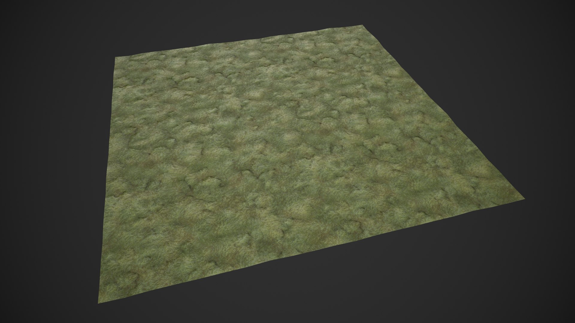 3D Moss Texture and Material model - TurboSquid 2069253