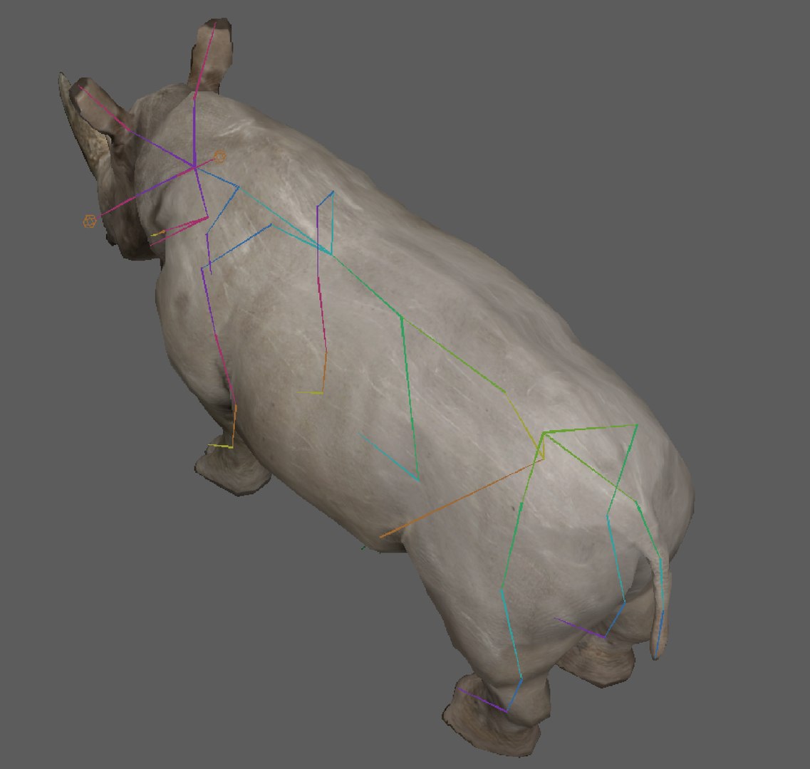 Rhinoceros Rig 3D Model - TurboSquid 2186908