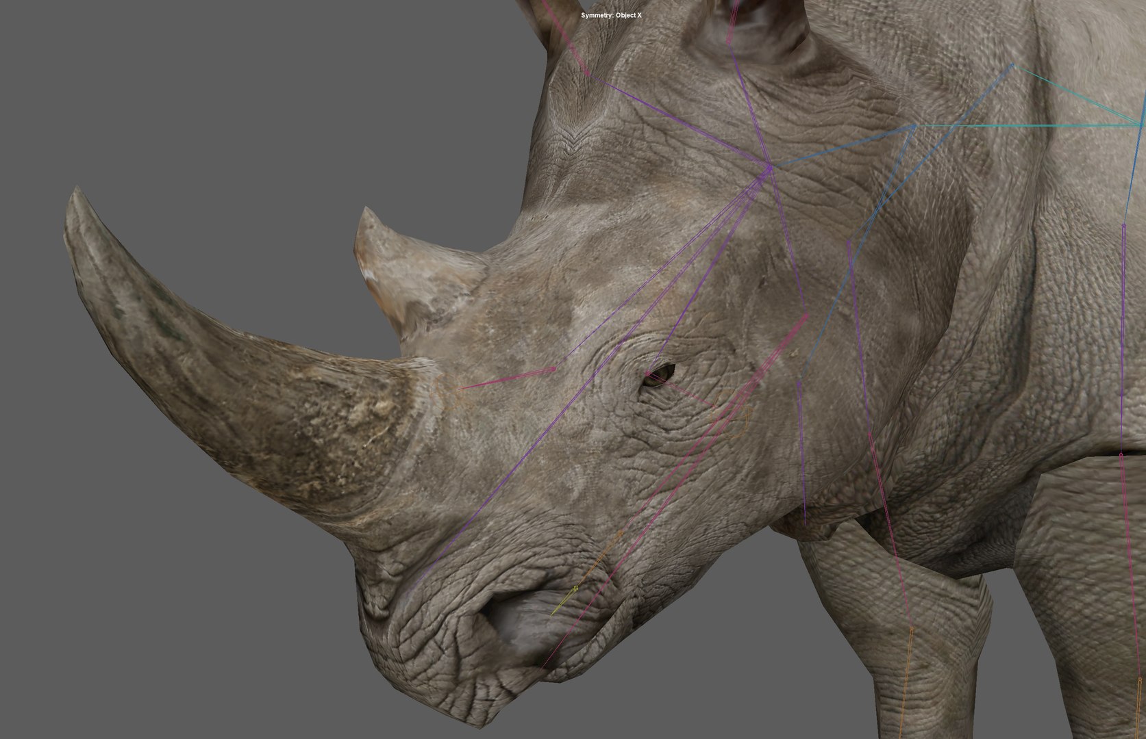 Rhinoceros Rig 3D Model - TurboSquid 2186908