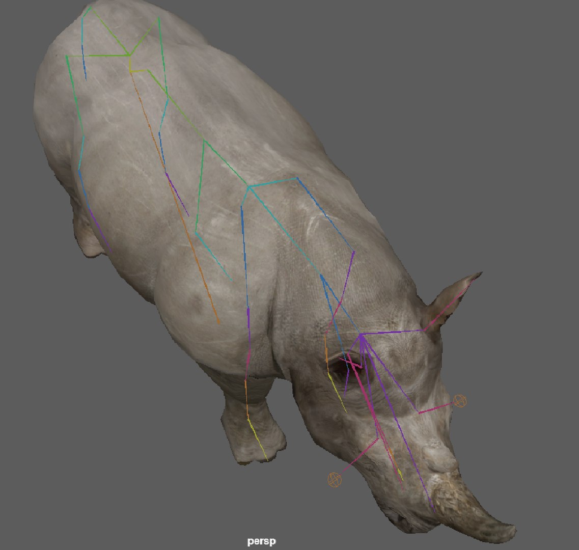 Rhinoceros Rig 3D Model - TurboSquid 2186908