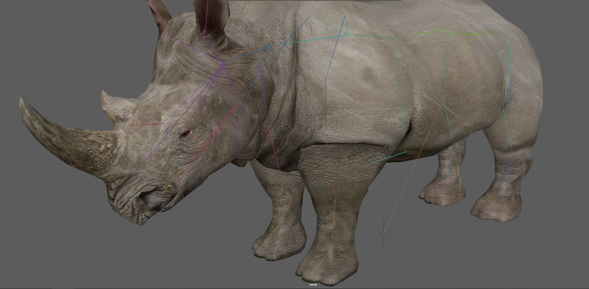 Rhinoceros Rig 3D Model - TurboSquid 2186908