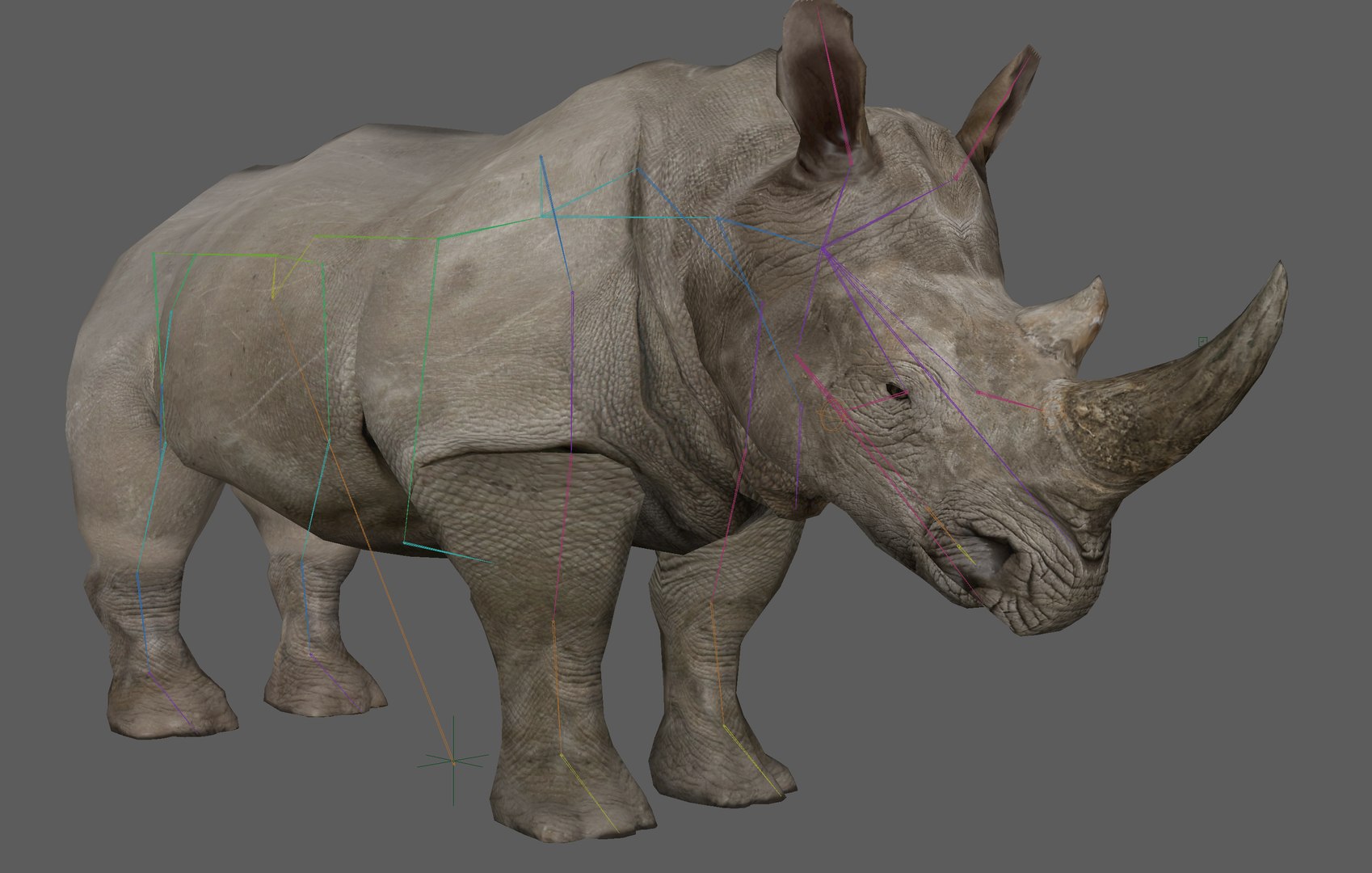 Rhinoceros Rig 3D Model - TurboSquid 2186908
