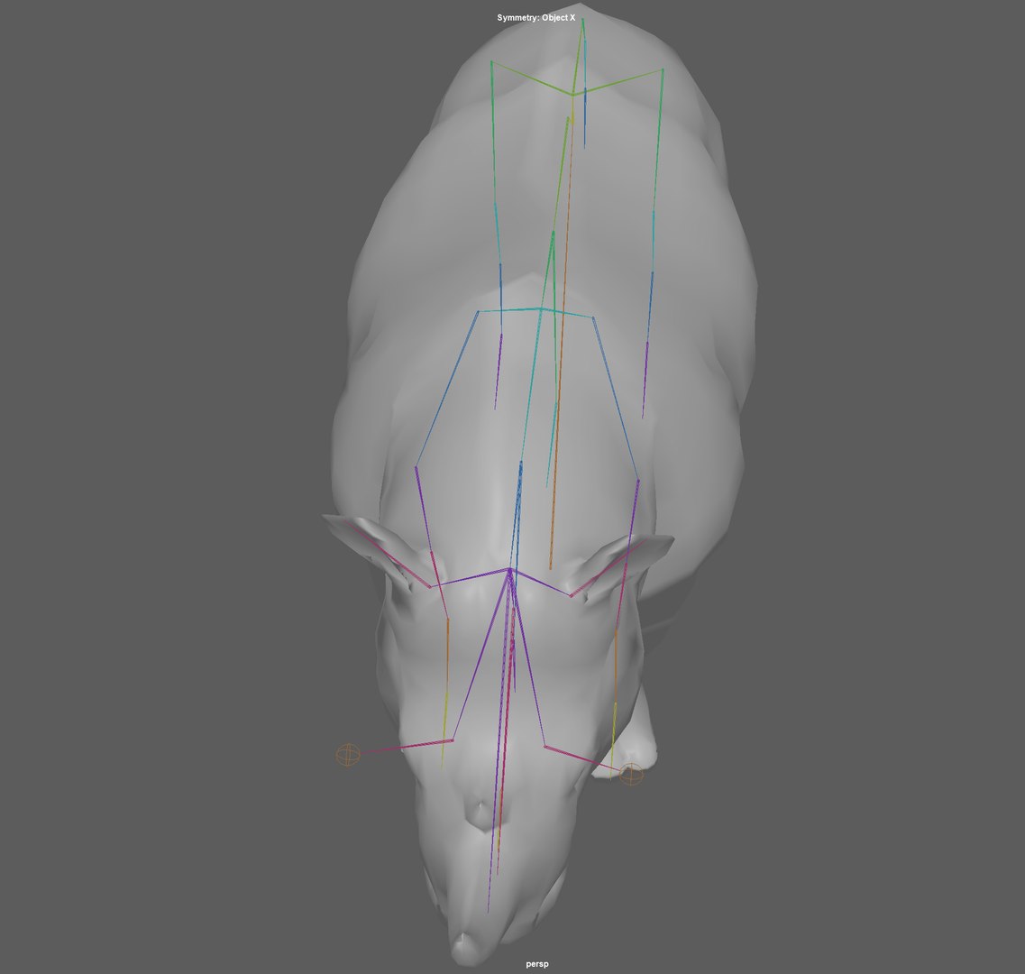 Rhinoceros Rig 3D Model - TurboSquid 2186908