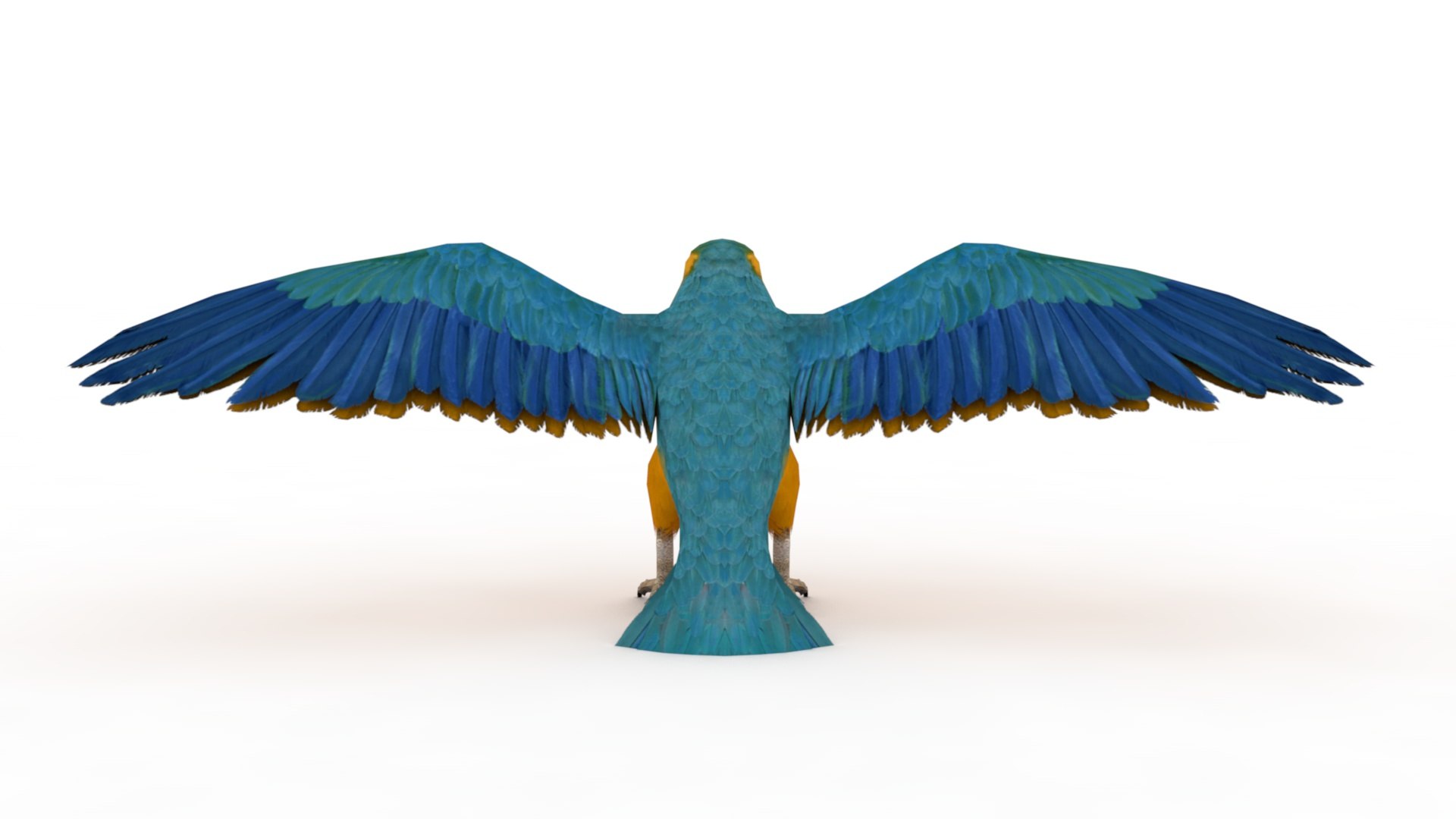 3D Model Macaw Parrot - TurboSquid 2237088