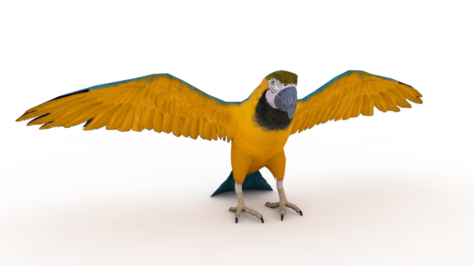 3D Model Macaw Parrot - TurboSquid 2237088