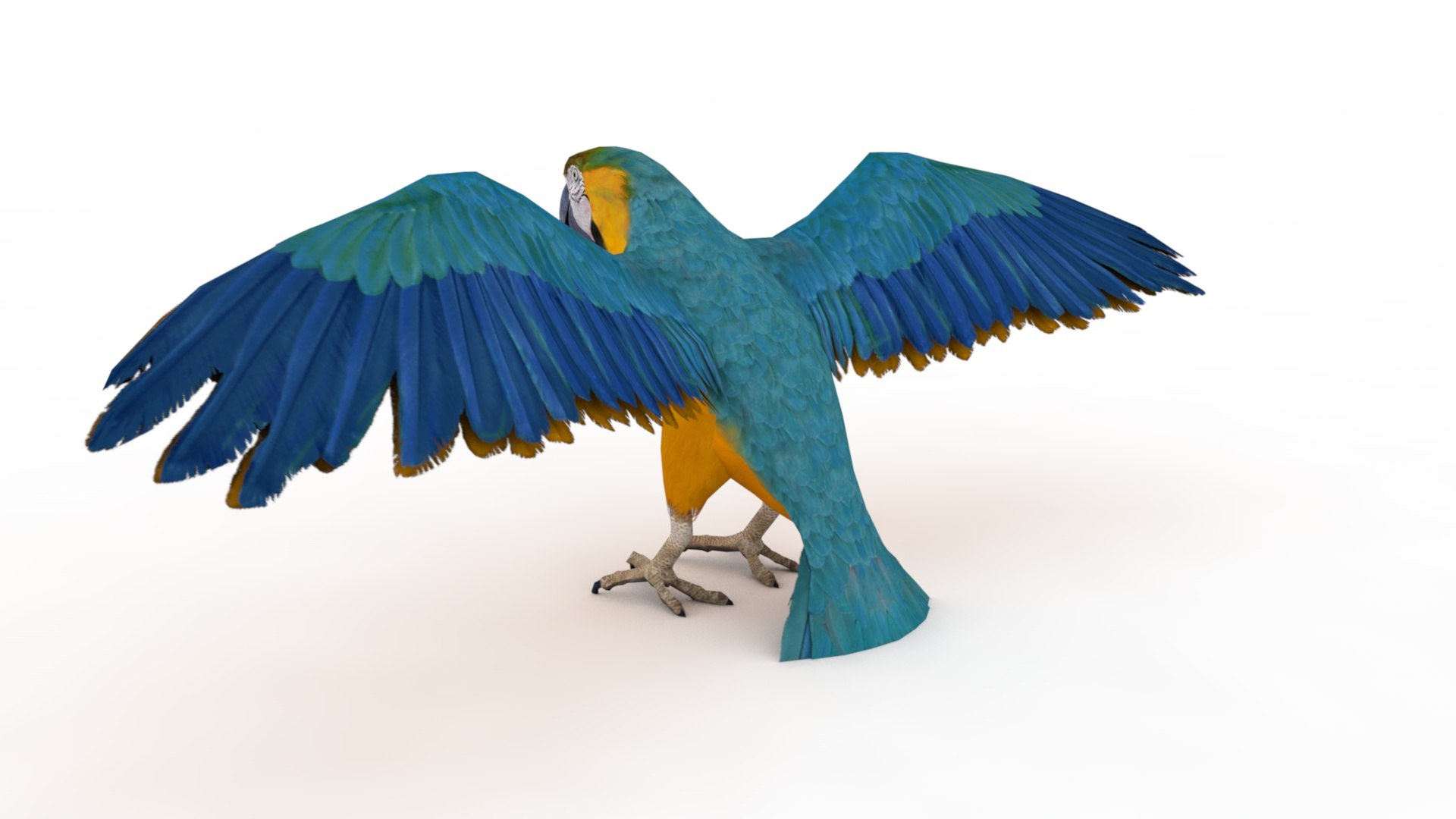 3D Model Macaw Parrot - TurboSquid 2237088