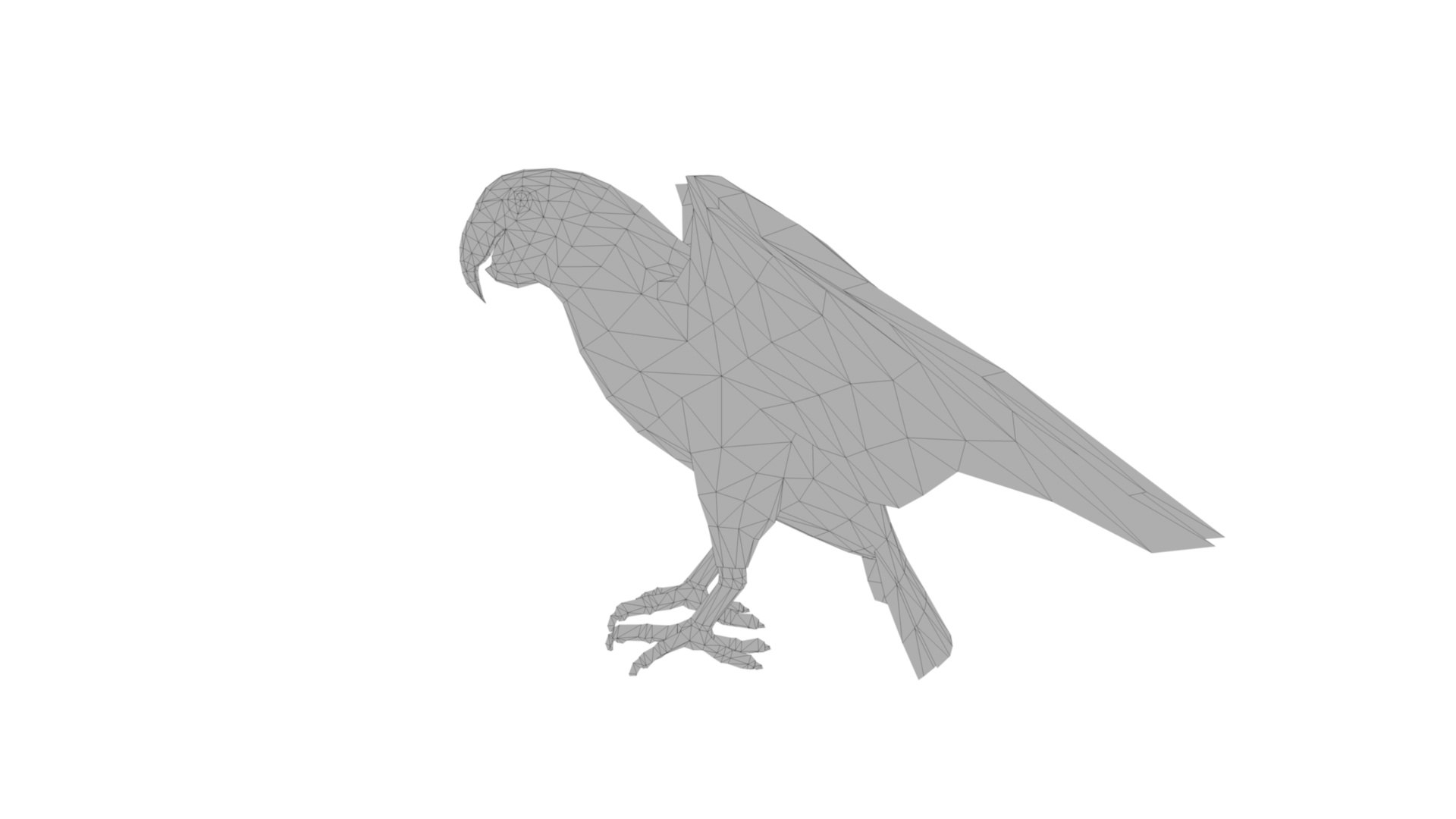 3D Model Macaw Parrot - TurboSquid 2237088