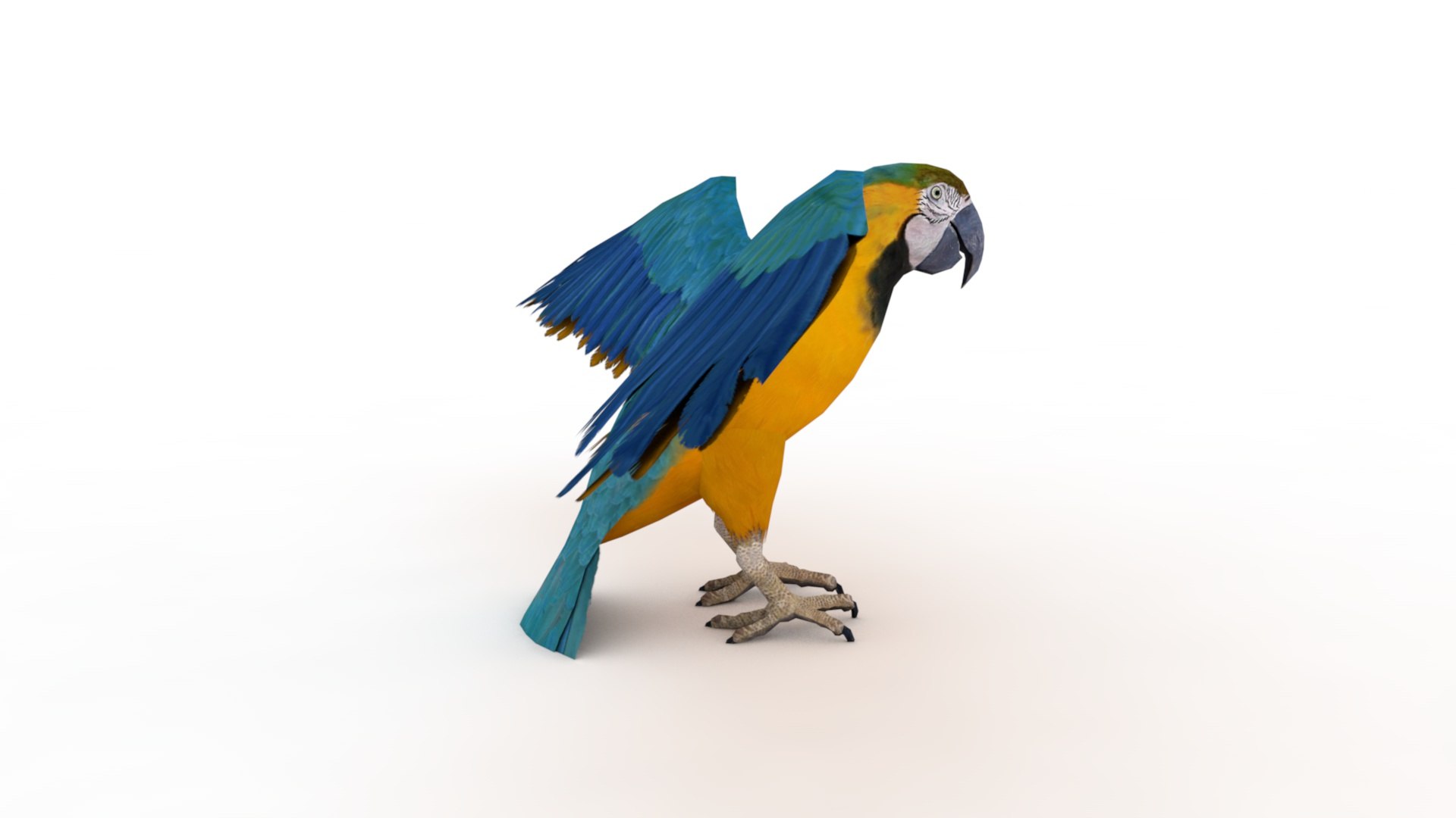3D Model Macaw Parrot - TurboSquid 2237088