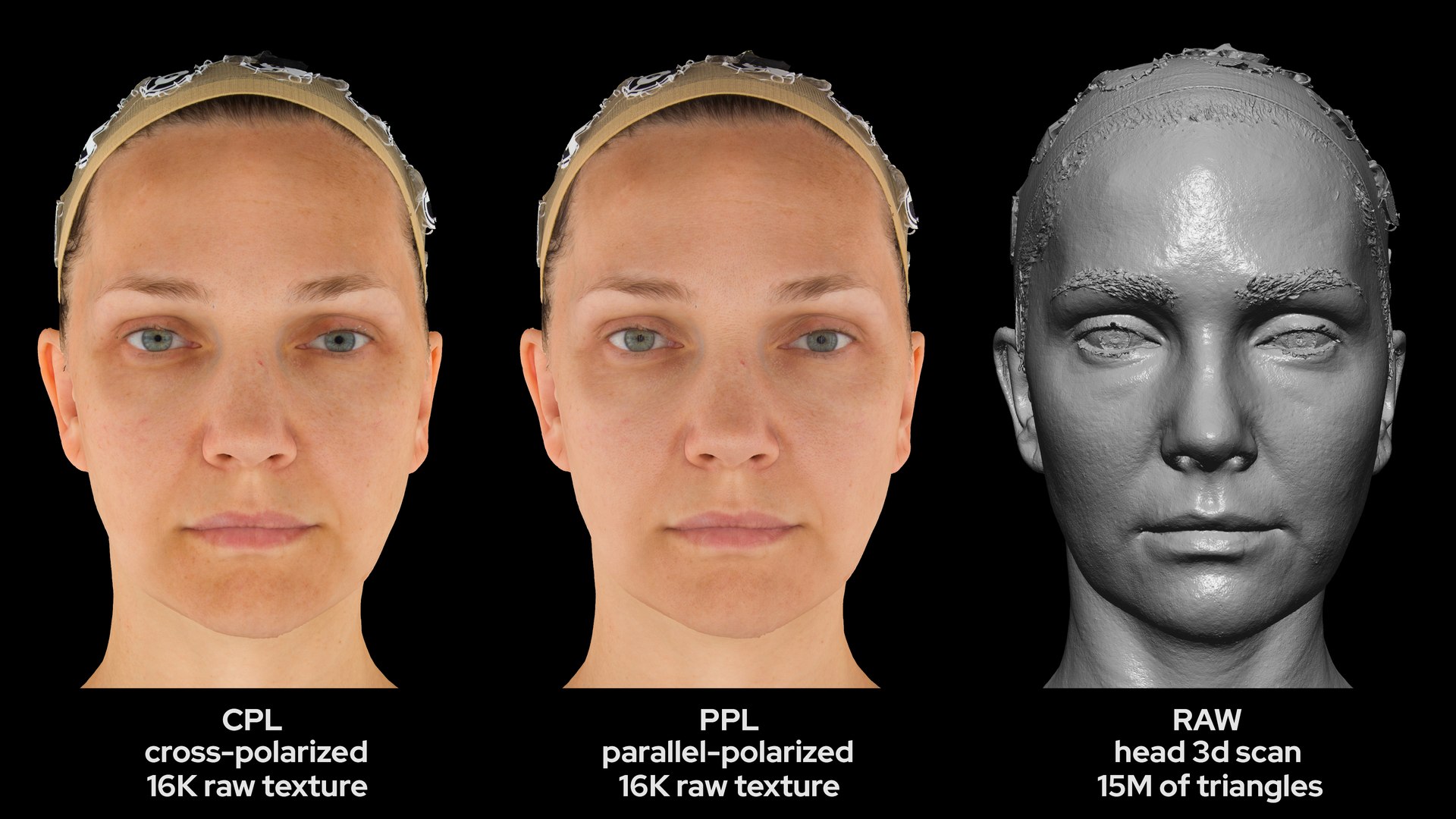 3D European Female 40s Head Scan 004 - TurboSquid 2045948