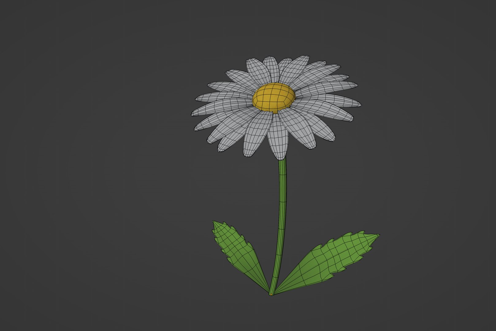 3D Daisy Flower - TurboSquid 2057982