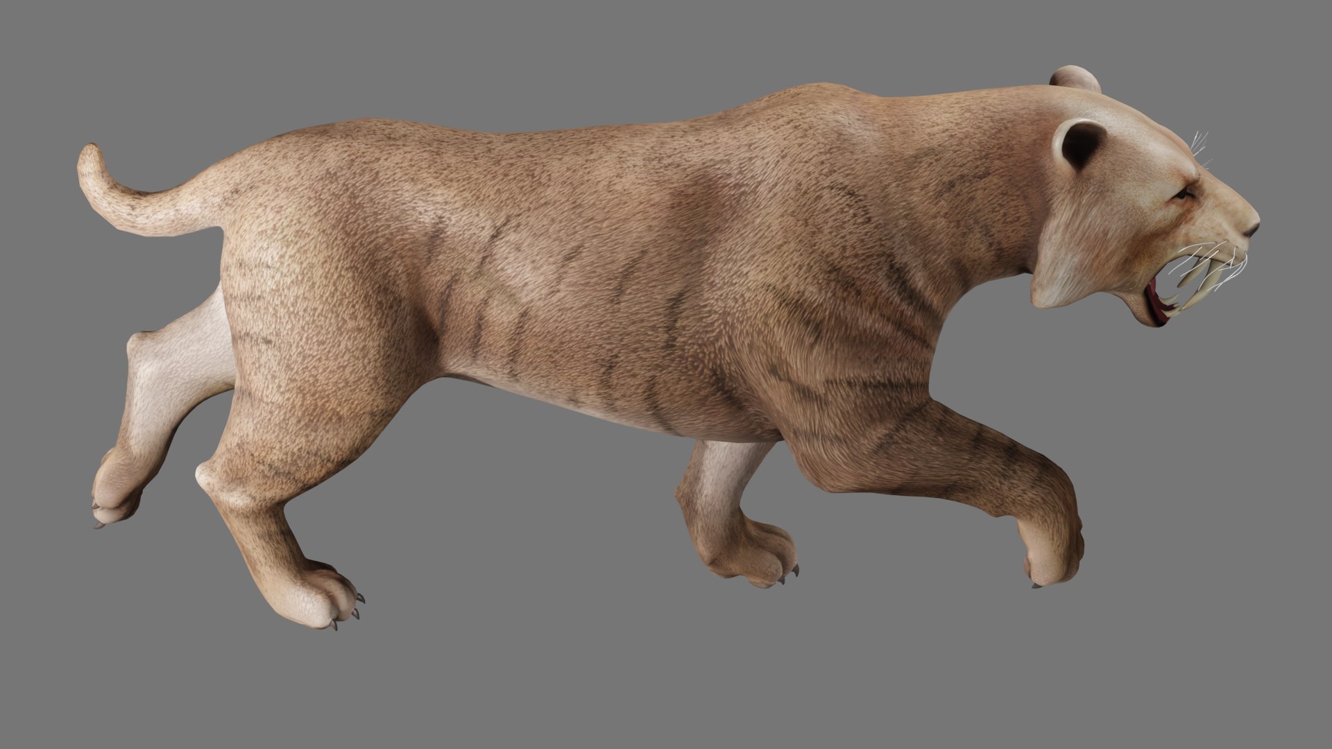 Saber Tooth 3D Model - TurboSquid 2032642