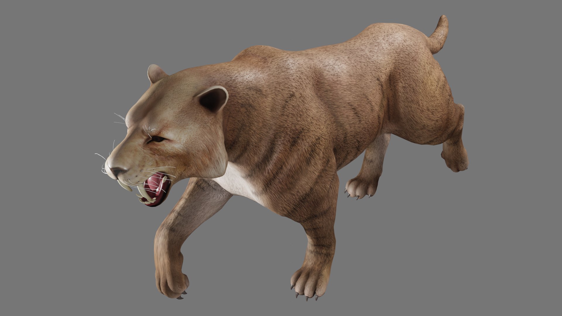 Saber Tooth 3D Model - TurboSquid 2032642