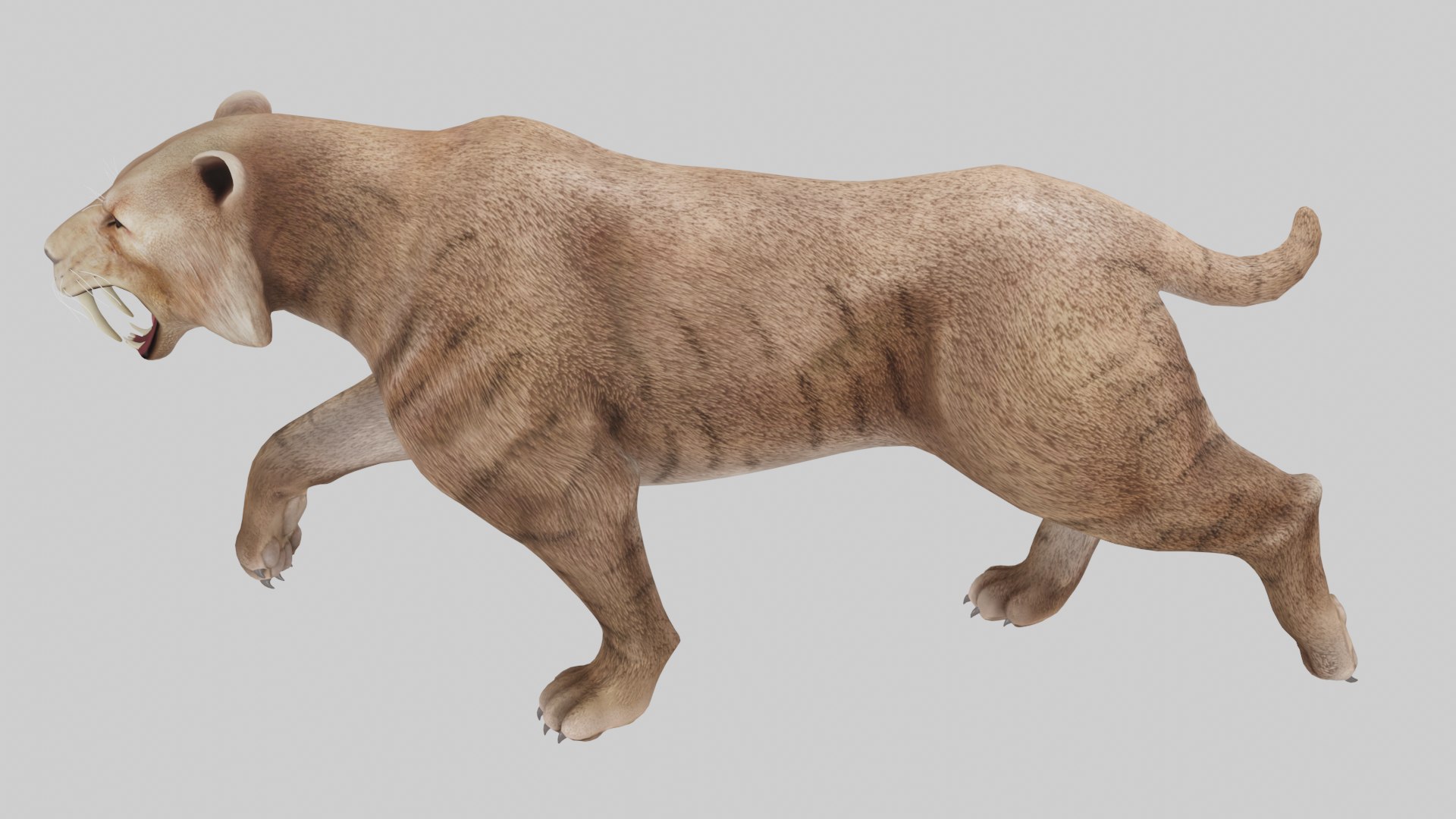 Saber Tooth 3D Model - TurboSquid 2032642