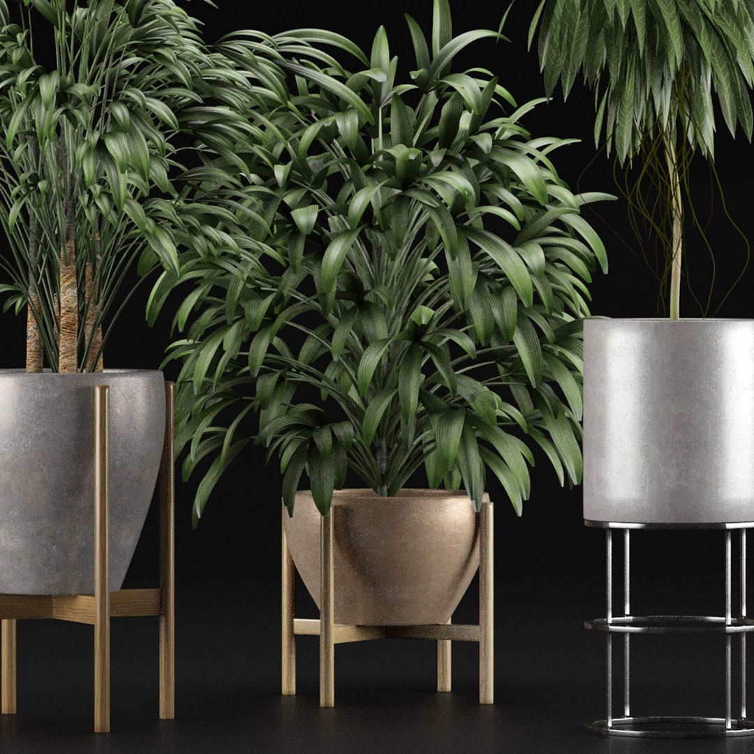 3D Plants 13 - TurboSquid 1586374