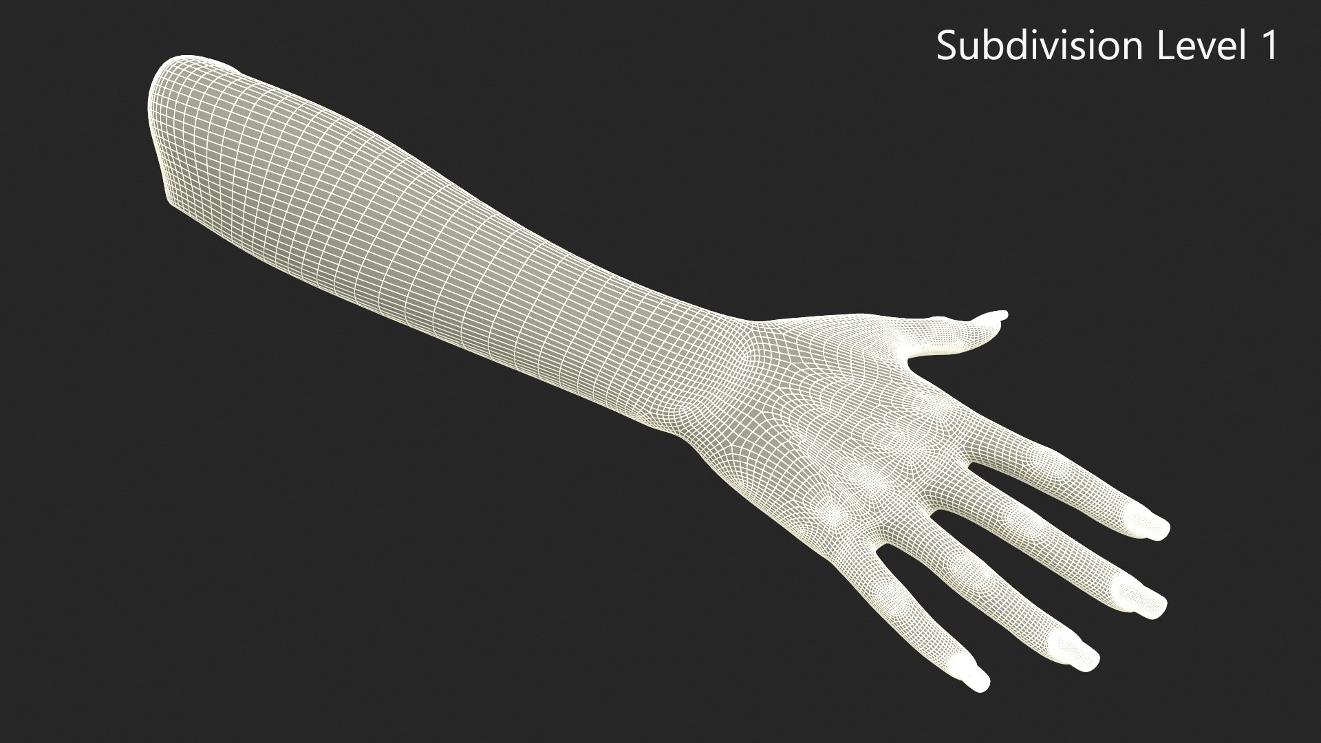 Afro American Female Hands Base Pose Model - TurboSquid 2169048