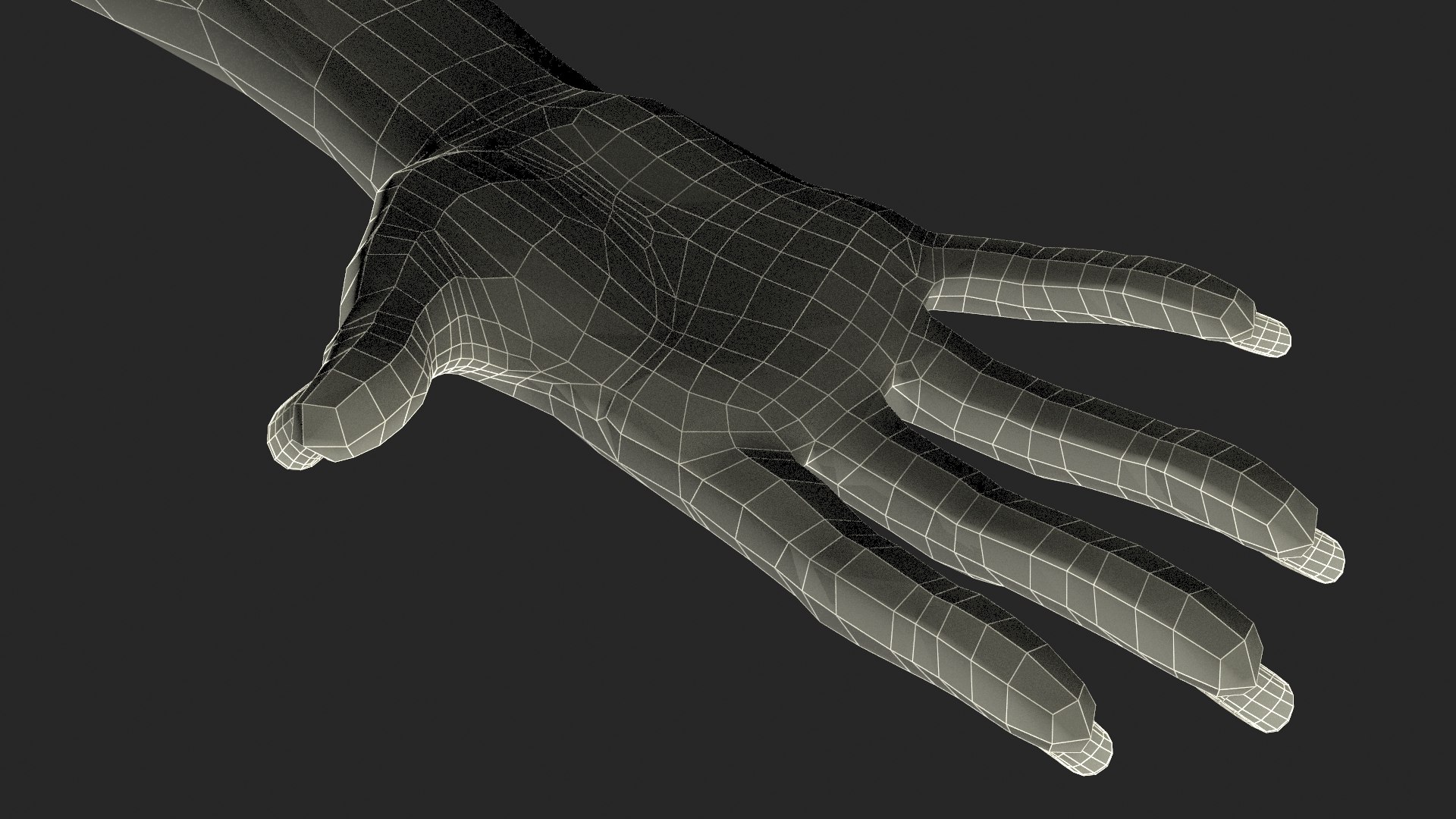 Afro American Female Hands Base Pose Model - TurboSquid 2169048