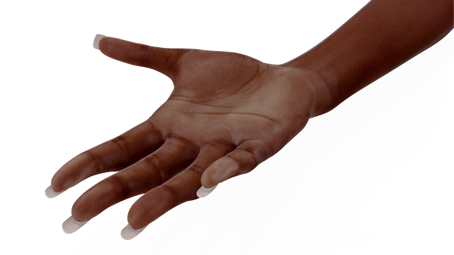 Afro American Female Hands Base Pose Model - TurboSquid 2169048