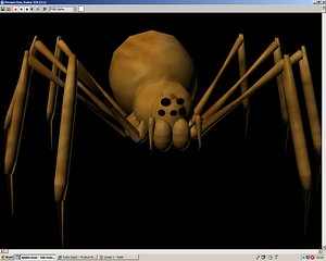 Free 3D Spider Models | TurboSquid