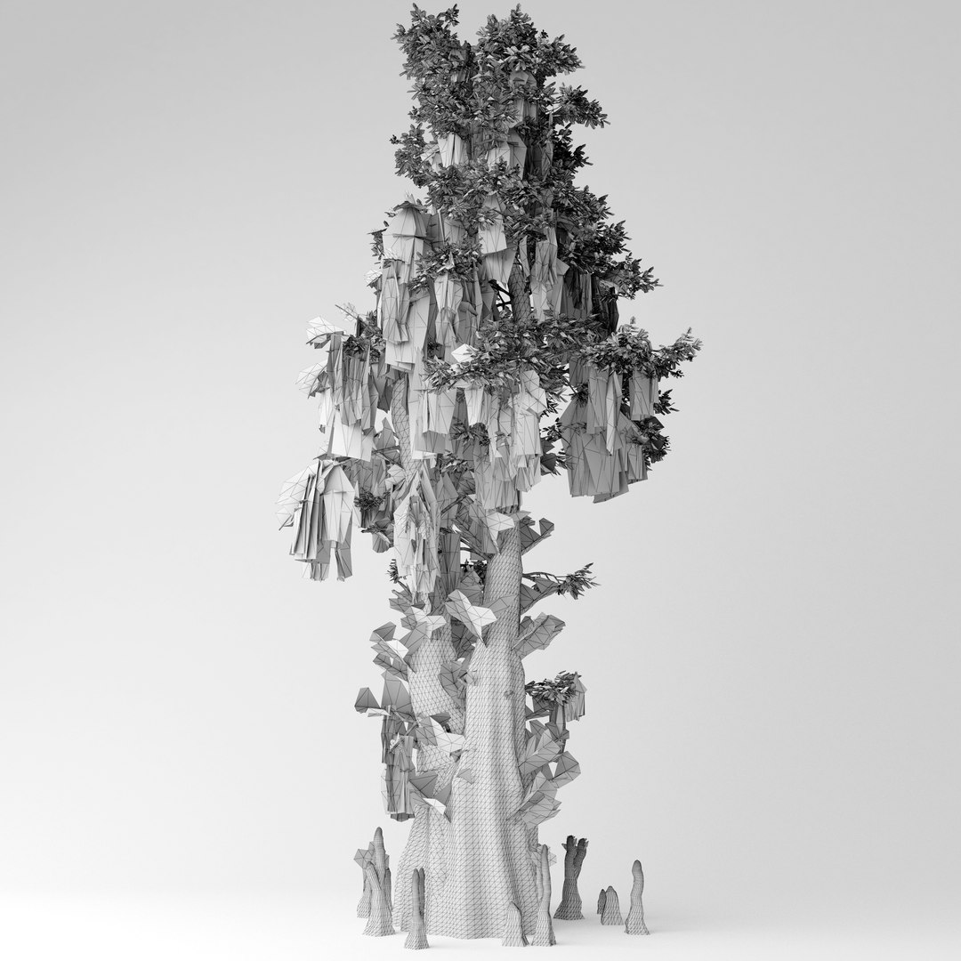 3D Model Bald Cypress Tree - TurboSquid 1622126