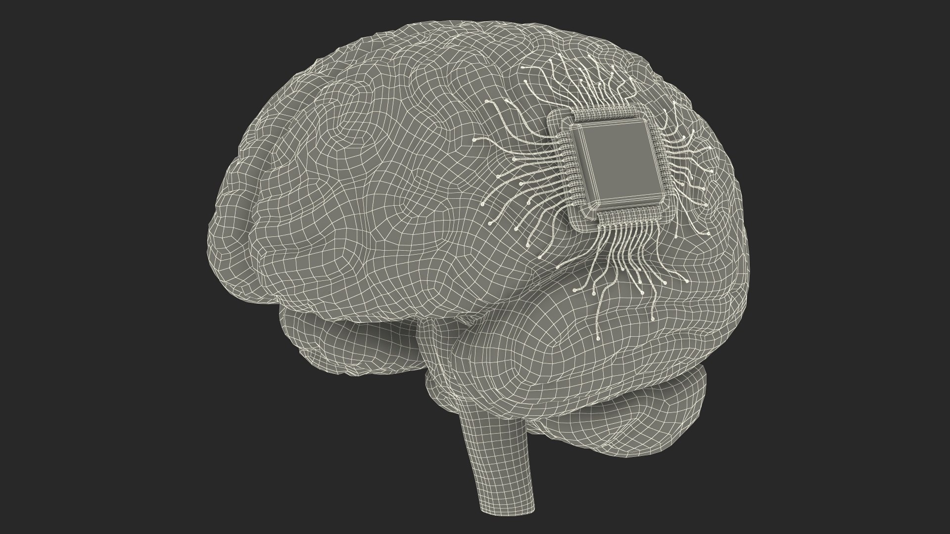 Human Brain With Implanted Microchip For 3D Print 3D - TurboSquid 2270850