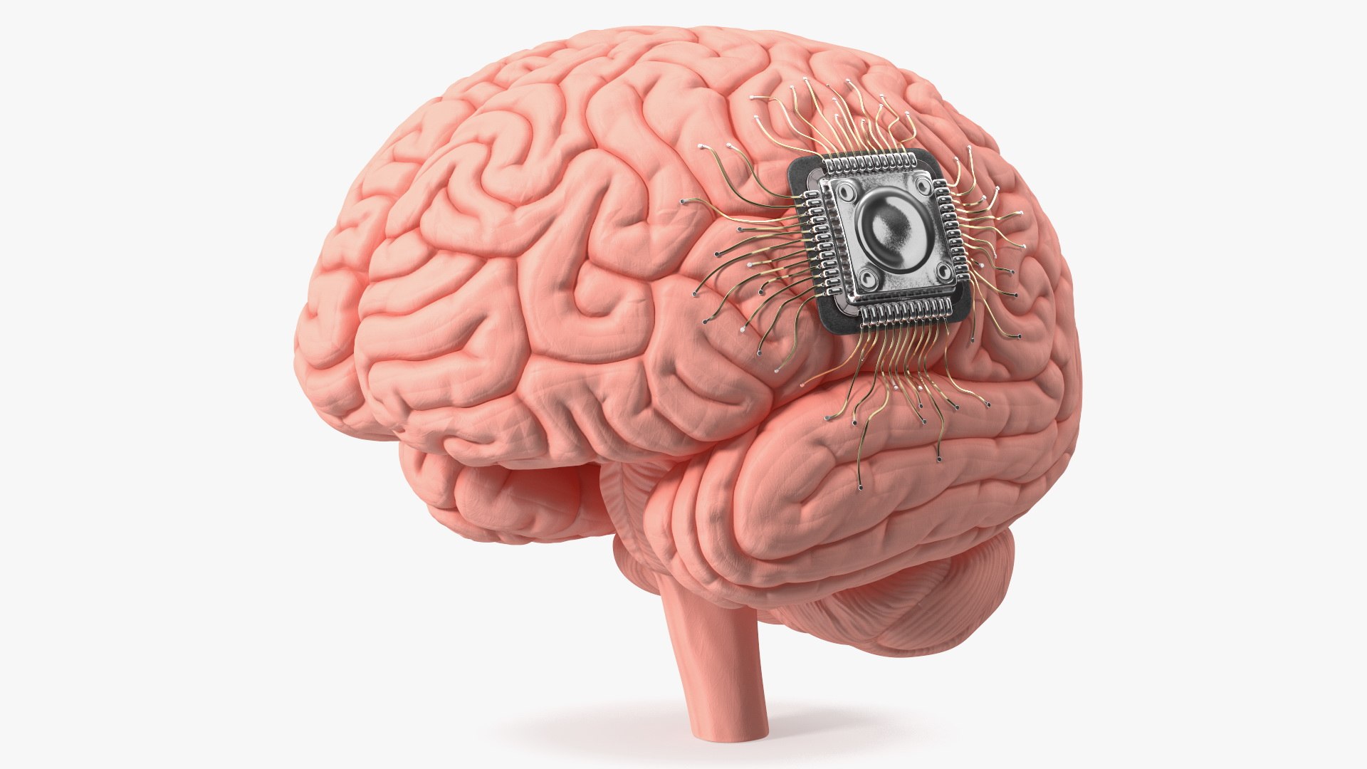 Human Brain With Implanted Microchip For 3D Print 3D - TurboSquid 2270850