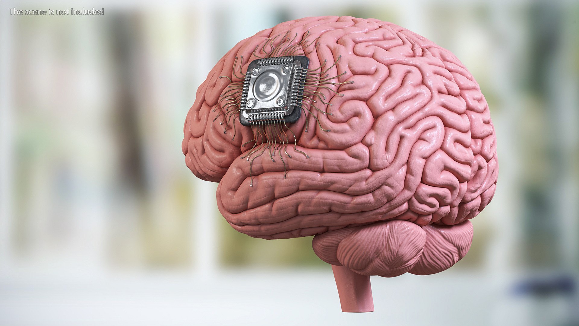 Human Brain With Implanted Microchip For 3D Print 3D - TurboSquid 2270850