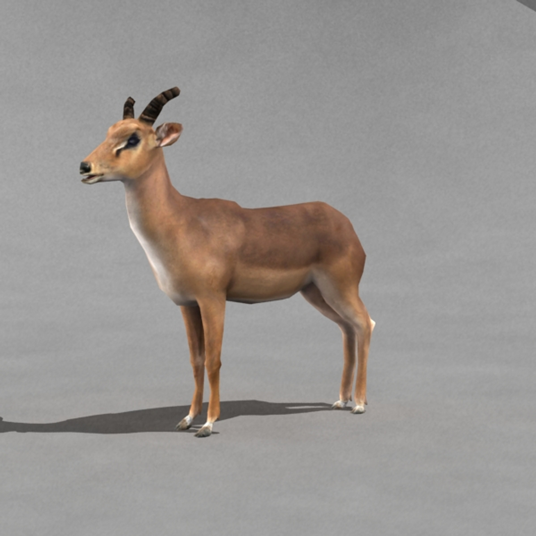 Antelope Rigged Animations 3d Max