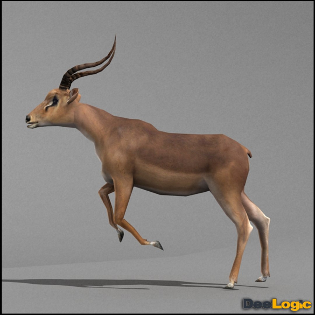 Antelope Rigged Animations 3d Max